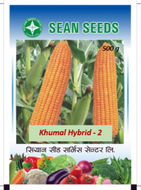 SEAN SEED CO. LTD. Maize: Khumal Hybrid 2